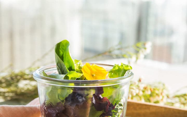 Caso de éxito Nora Real Food - Opinat NPS